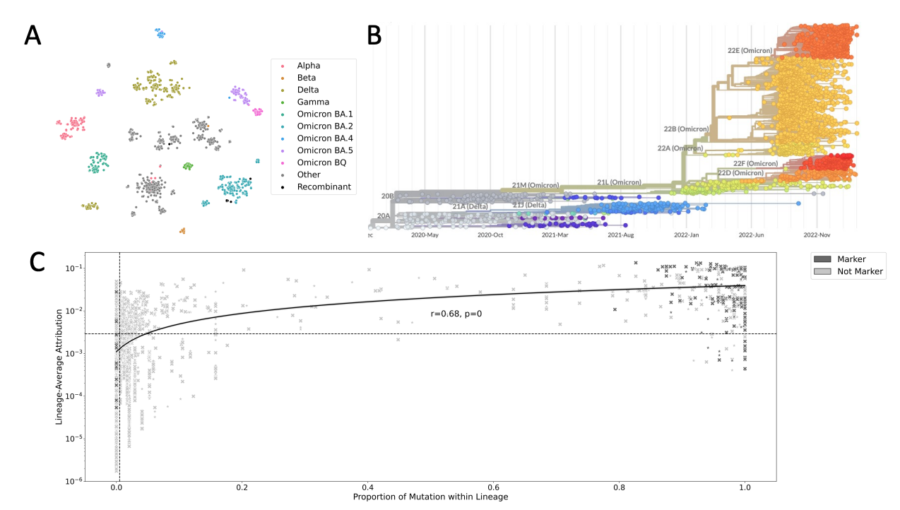 Towards Computing Attributions For Dimensionality Reduction Techniques Lemieuxs Lab